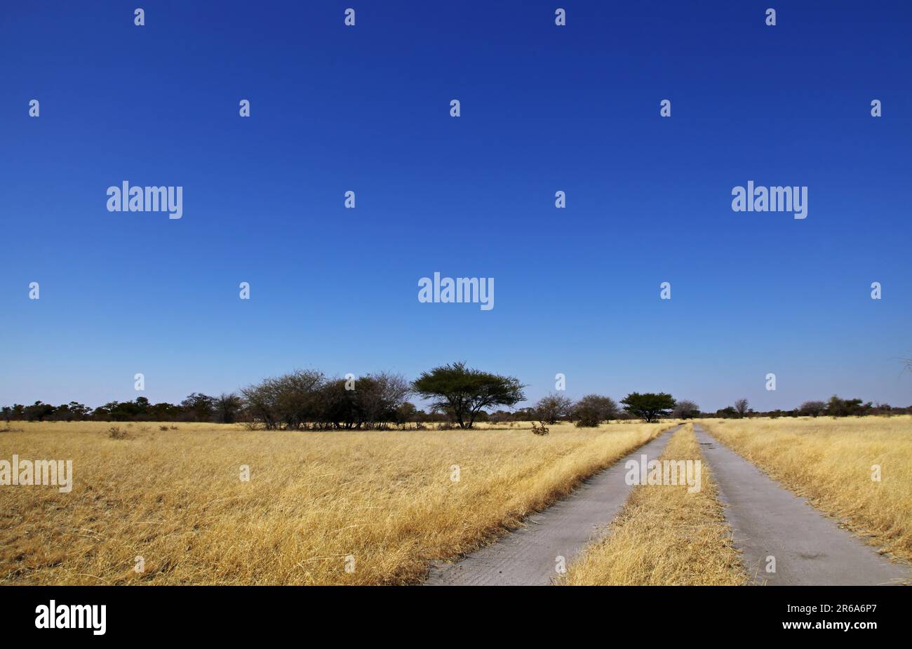 On self-drive tour in Botswana, self driving in Botswana Stock Photo ...