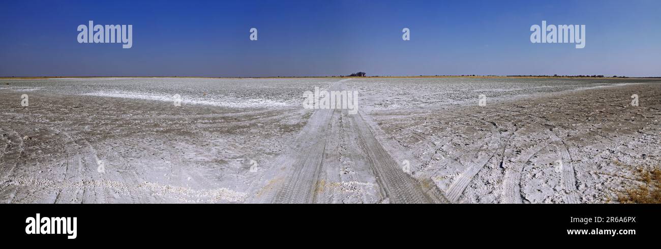 Makgadikgadi nationalpark hi-res stock photography and images - Alamy