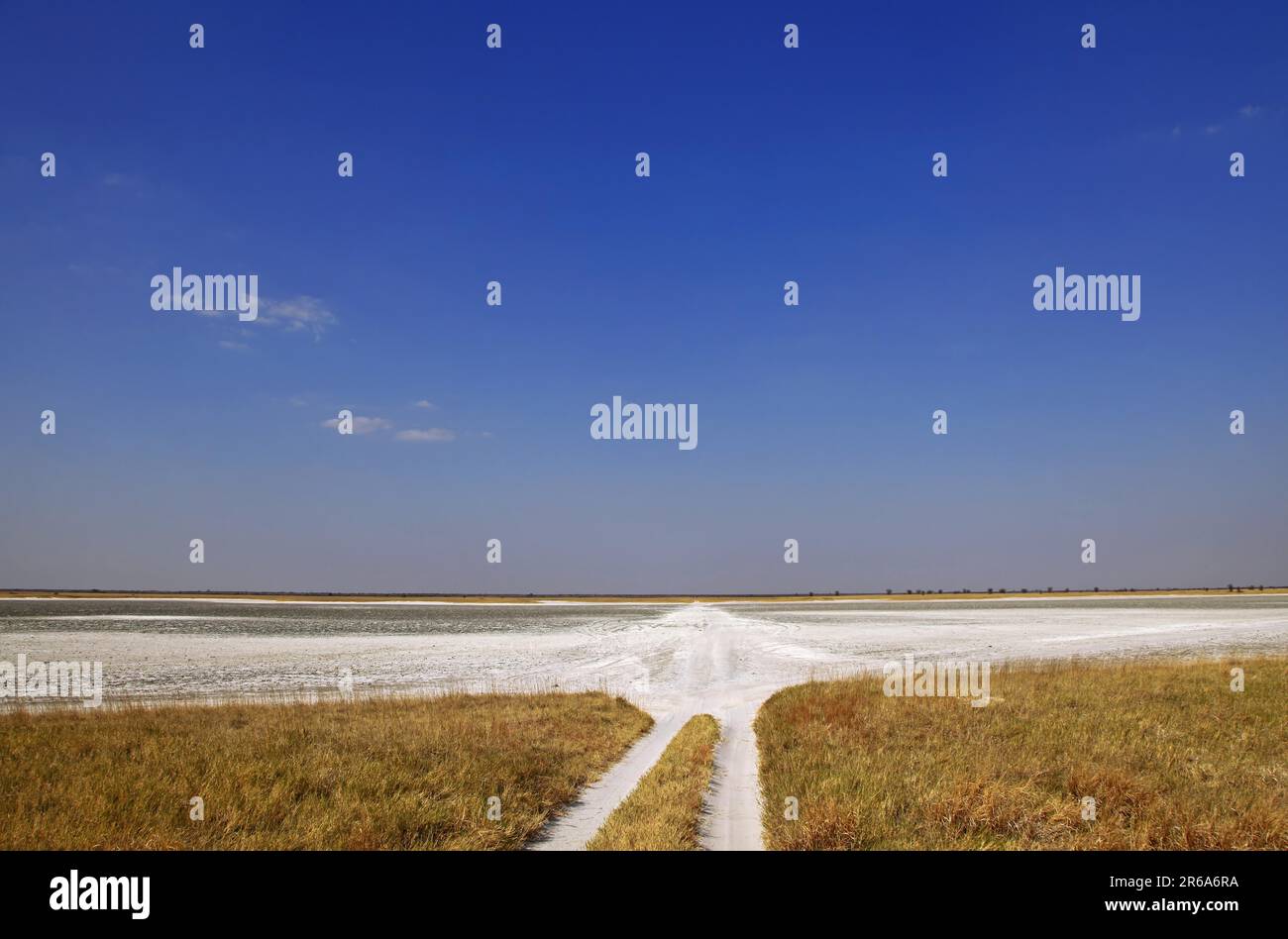 Makgadikgadi nationalpark hi-res stock photography and images - Alamy