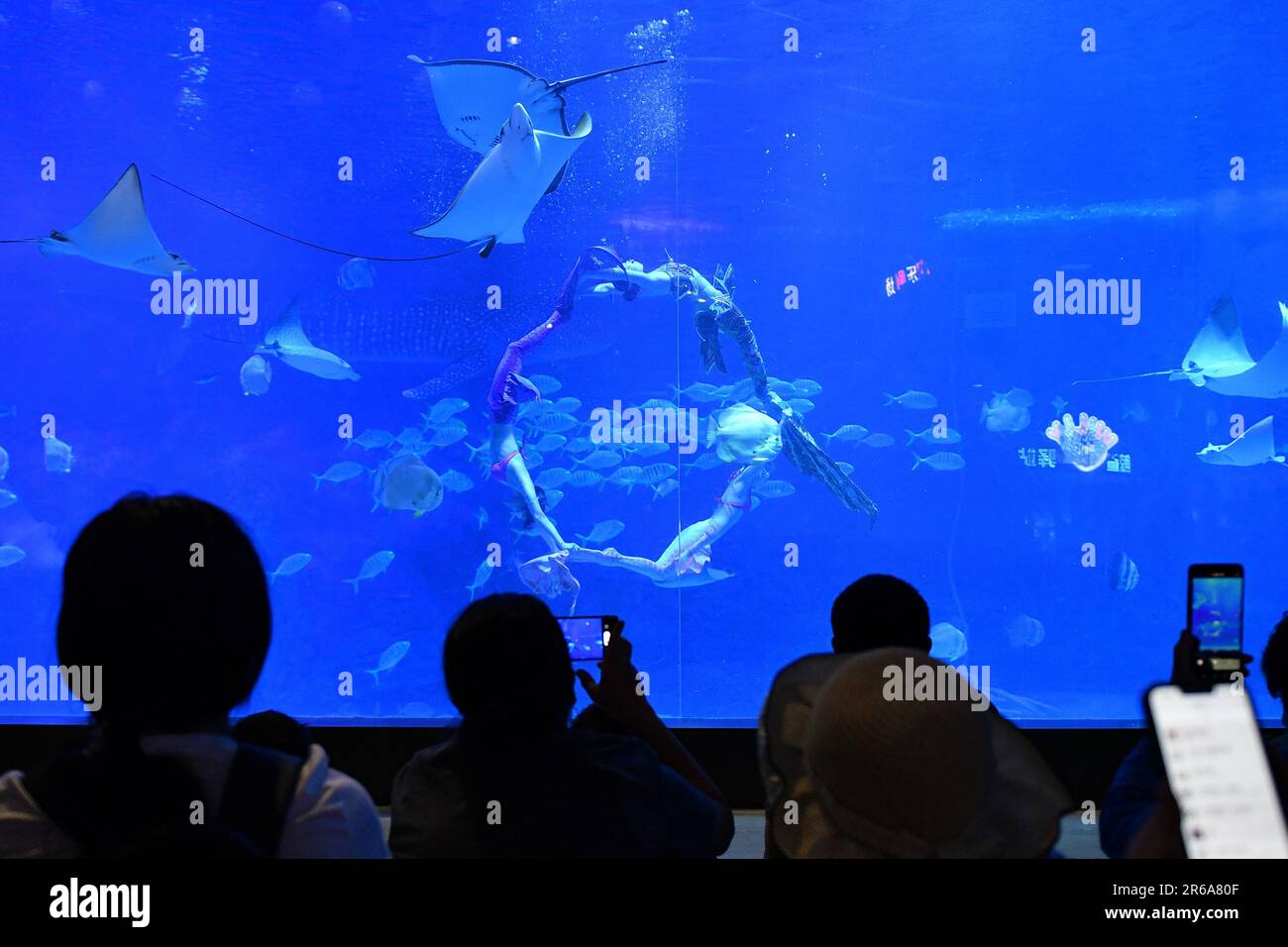 Yantai, China. 08th June, 2023. Visitors watch a mermaid performance at ...