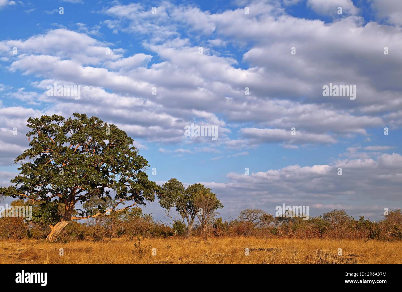 Landscape at Kafue National Park, Zambia, landscape at Kafue National ...
