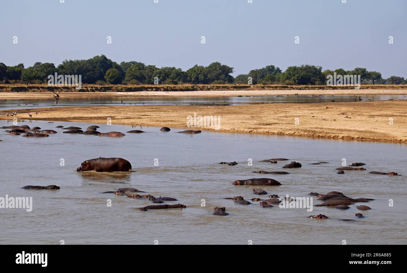 Luangwa River Nature Paradise, South Luangwa National Park, Zambia ...