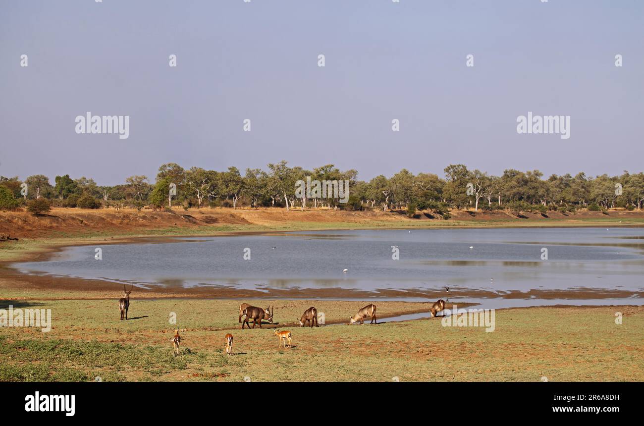Luangwan national park hi-res stock photography and images - Alamy