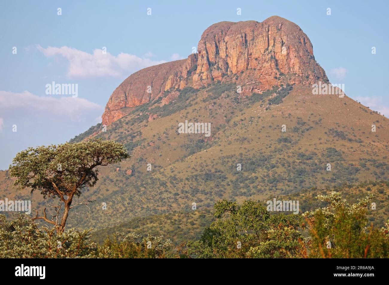 Marakele nationalpark hi-res stock photography and images - Alamy