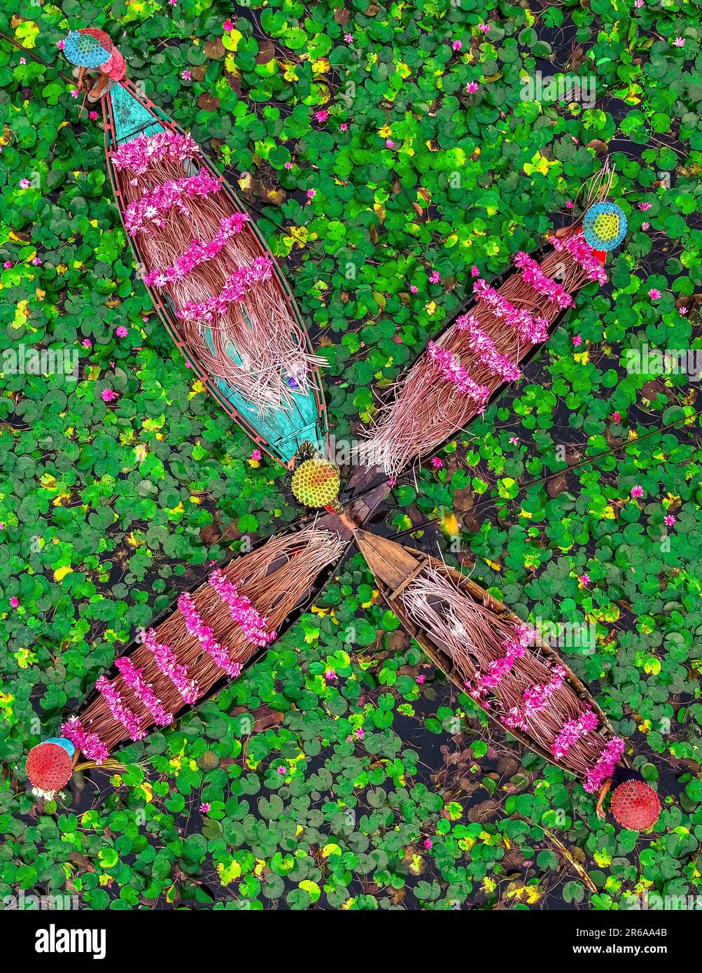 June 8, 2023, Barishal, Barishal, Bangladesh: Farmers are seen floating ...