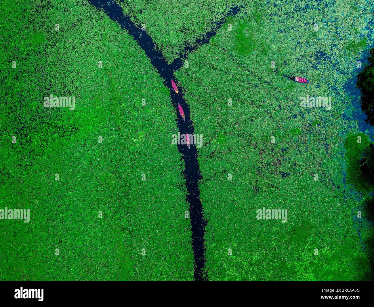 June 8, 2023, Barishal, Barishal, Bangladesh: Farmers are seen floating ...