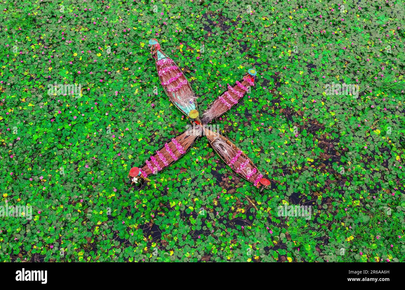 June 8, 2023, Barishal, Barishal, Bangladesh: Farmers are seen floating ...