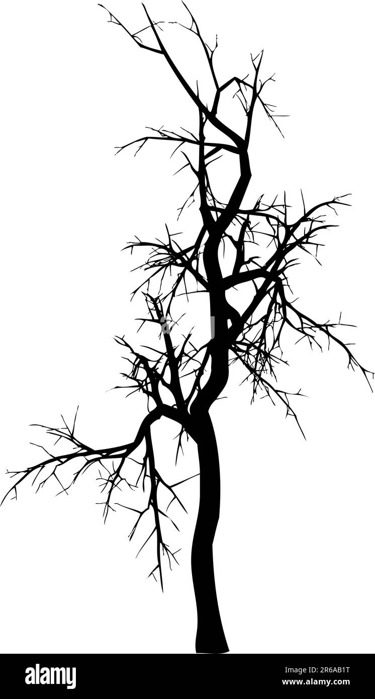 Winter nature illustration Black and White Stock Photos & Images - Alamy