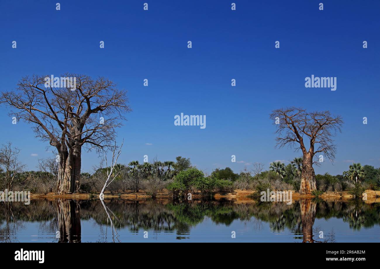 Landscape at Lower Zambezi National Park, Zambia, landscape at Lower ...