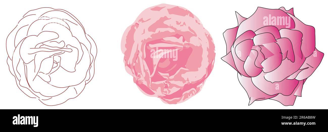 Different vegetation Stock Vector Images - Alamy