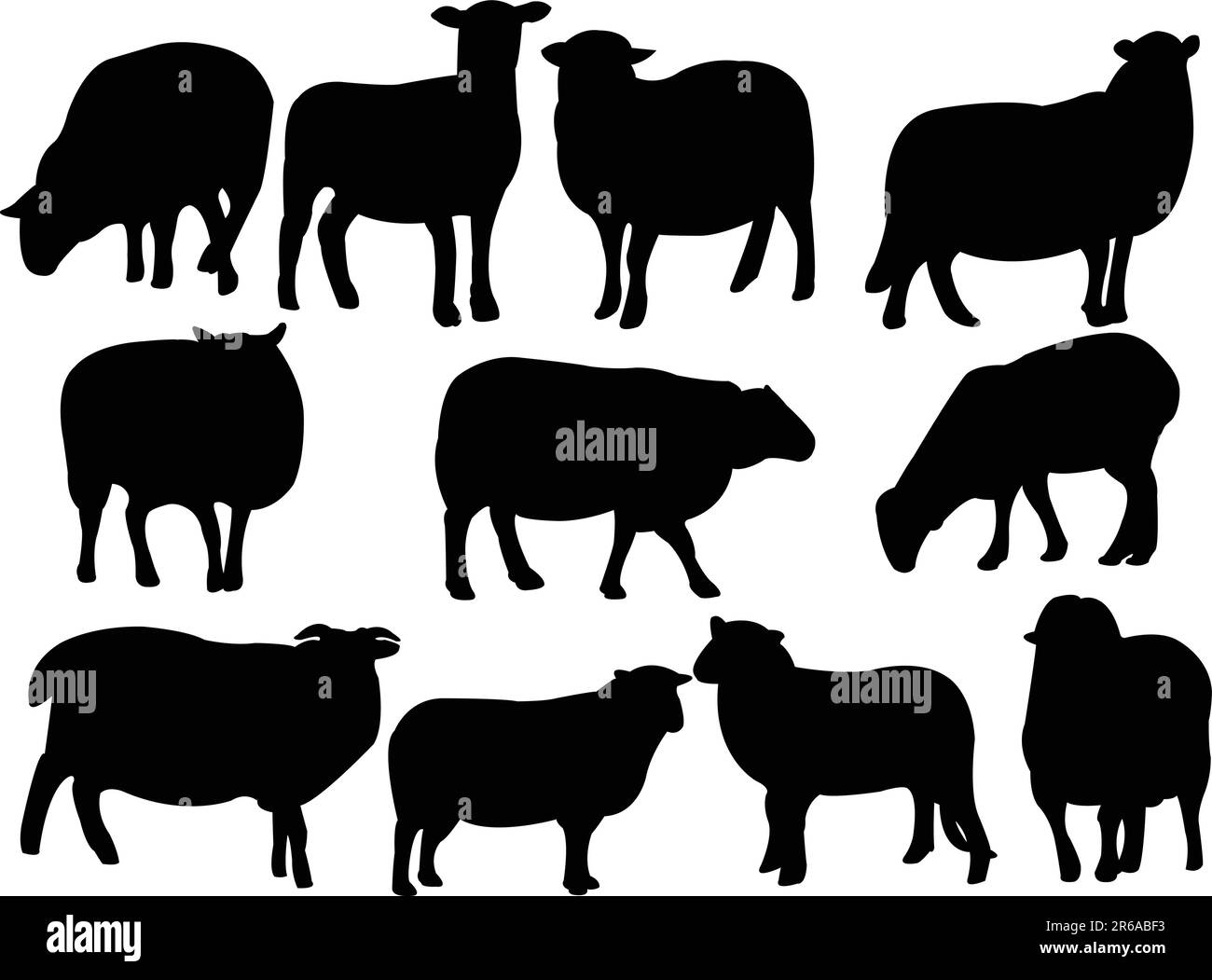 Cute cartoon sheep collection Black and White Stock Photos & Images - Alamy