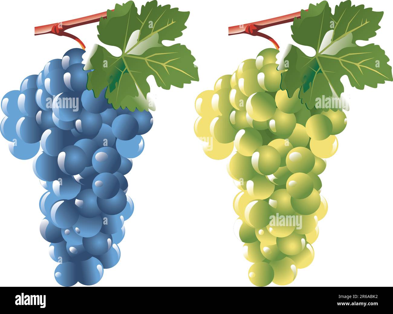 Grapes realistic vector illustration Stock Vector Image & Art - Alamy