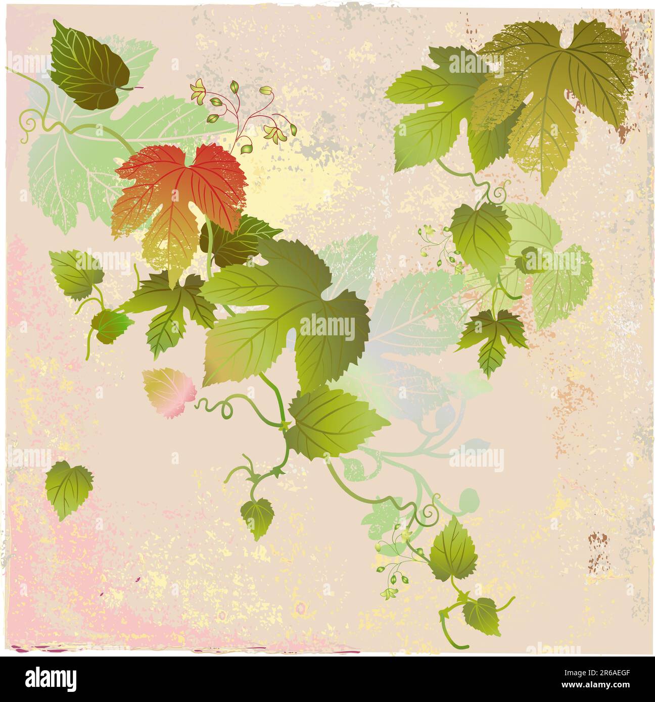 Orange leaf branch line Stock Vector Images - Alamy