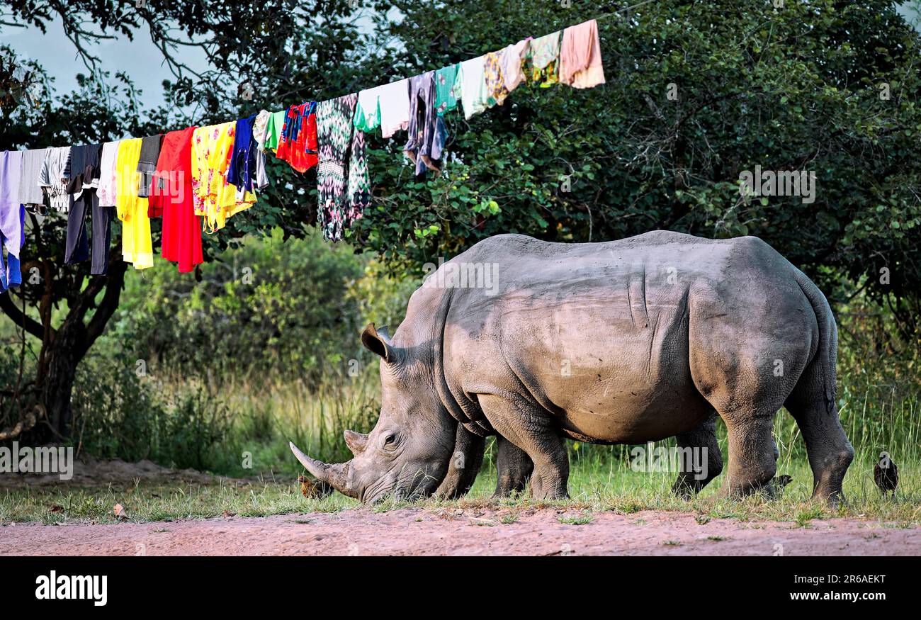 Zivilisation hi-res stock photography and images - Alamy