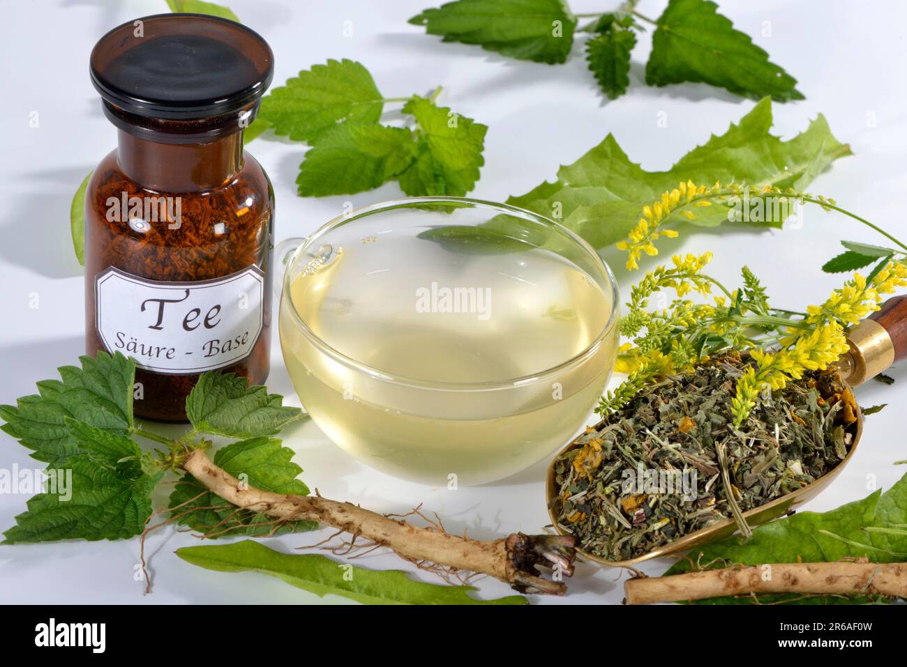 Acid-base (dandelion root) Nettle leaves, horsetail, melissa, ribwort ...