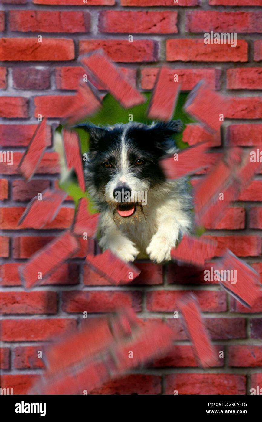 Breakthrough wall hi-res stock photography and images - Alamy