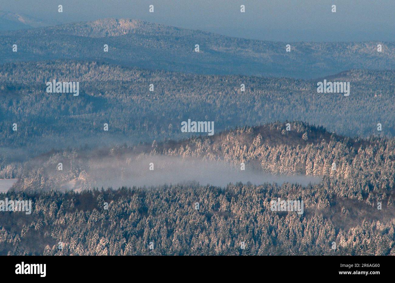 Bavarian Forest National Park in winter (overview) (Europe) (landscapes ...