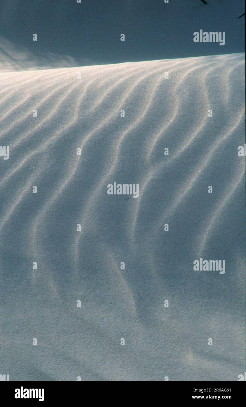 Sand dunes, sand structures, De Slufter, Texel, Netherlands, Sand dunes ...