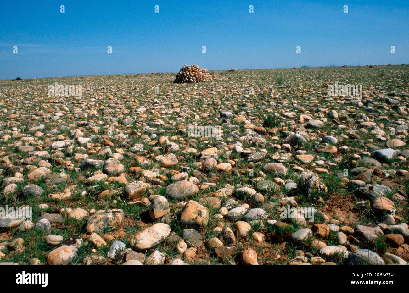 Crau hi-res stock photography and images - Alamy