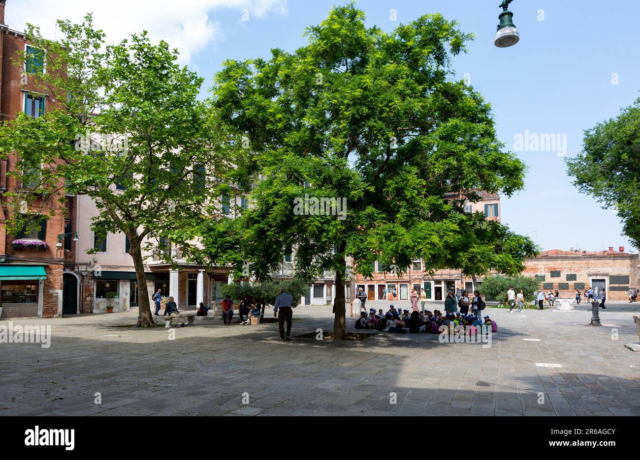 School children in Venice shelter in the shade of a tree in the middle ...