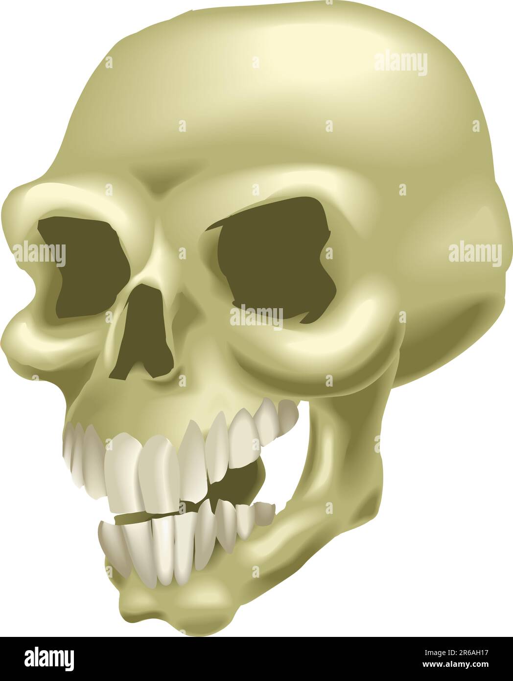 A human skull Stock Vector Images - Alamy