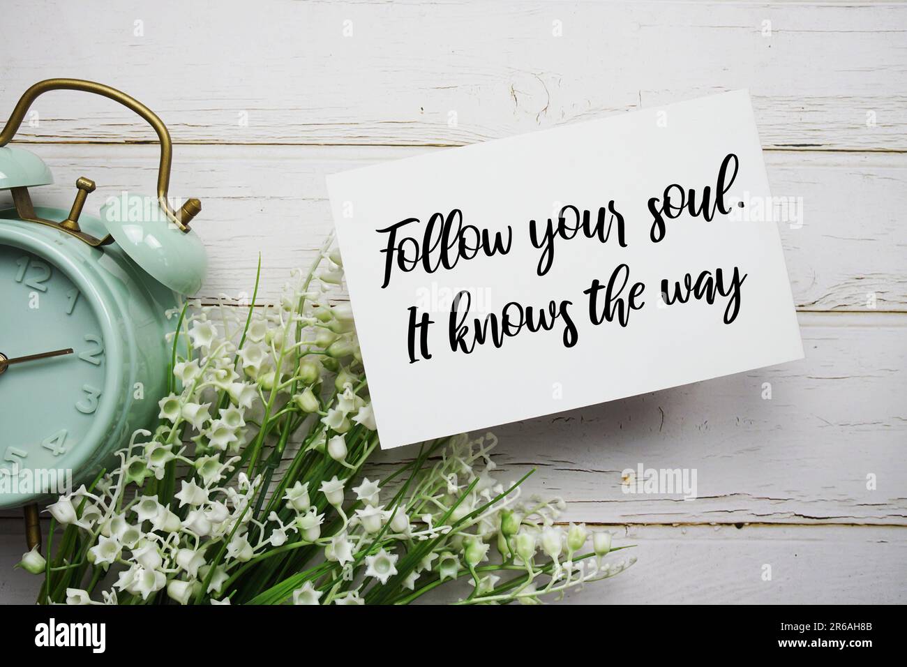 It knows the way hi-res stock photography and images - Alamy