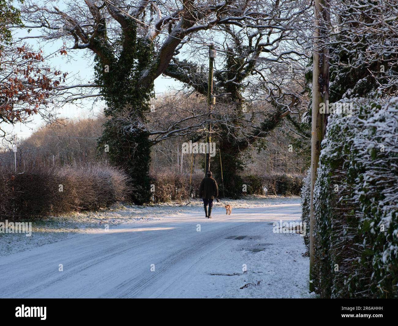 A man walking his dog down a snow-covered country lane Stock Photo - Alamy