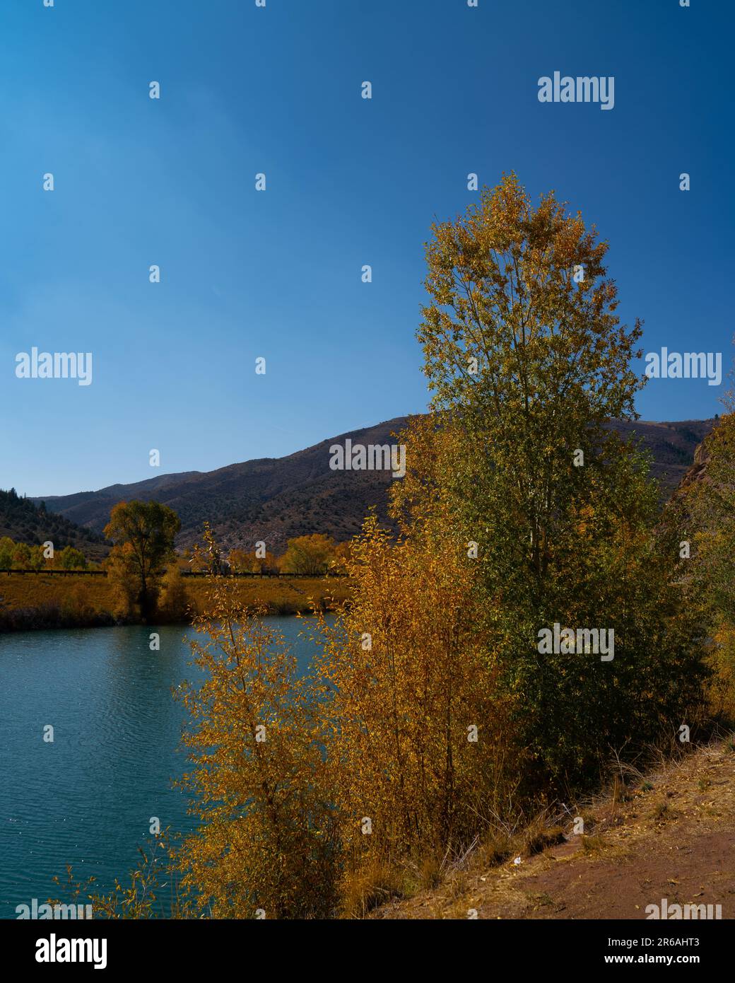 A scenic landscape with a river running alongside a line of trees Stock ...