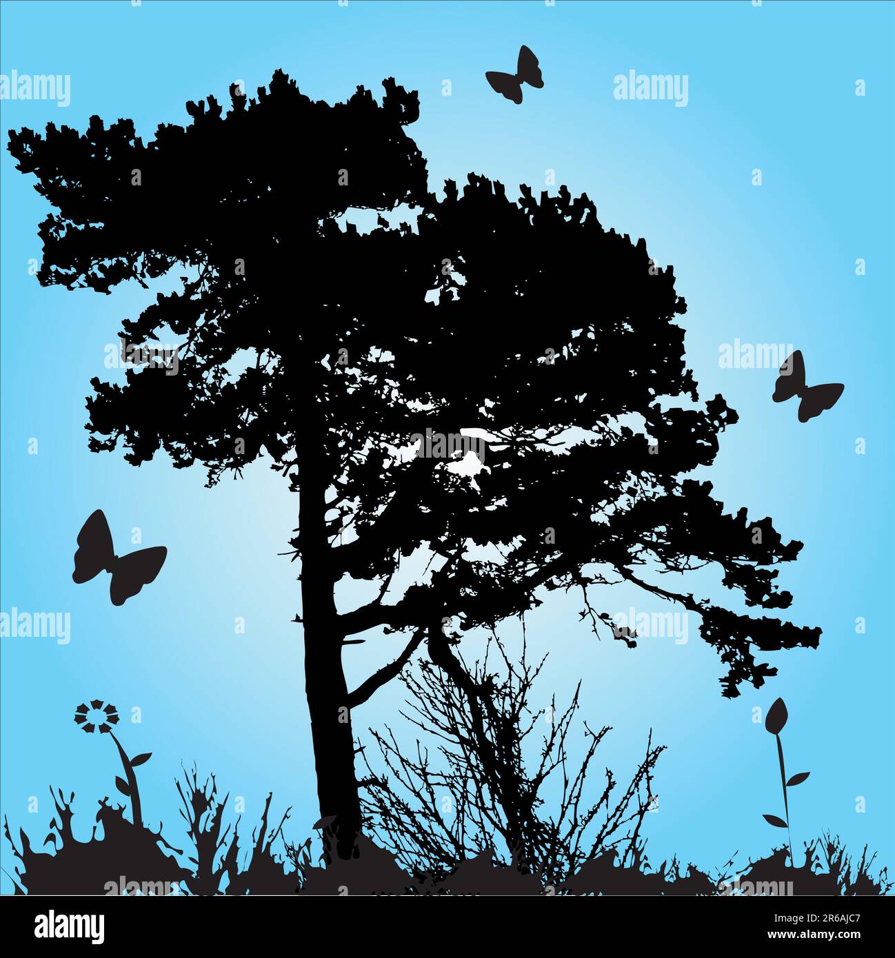 Tree border silhouette hi-res stock photography and images - Alamy