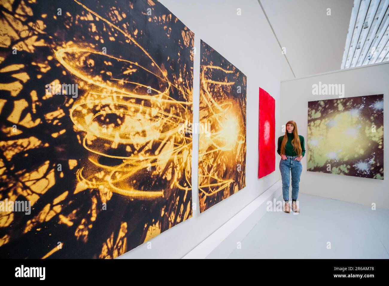 London, UK. 8th June, 2023. Work by Anna Higgins - RA Schools Show 2023 ...