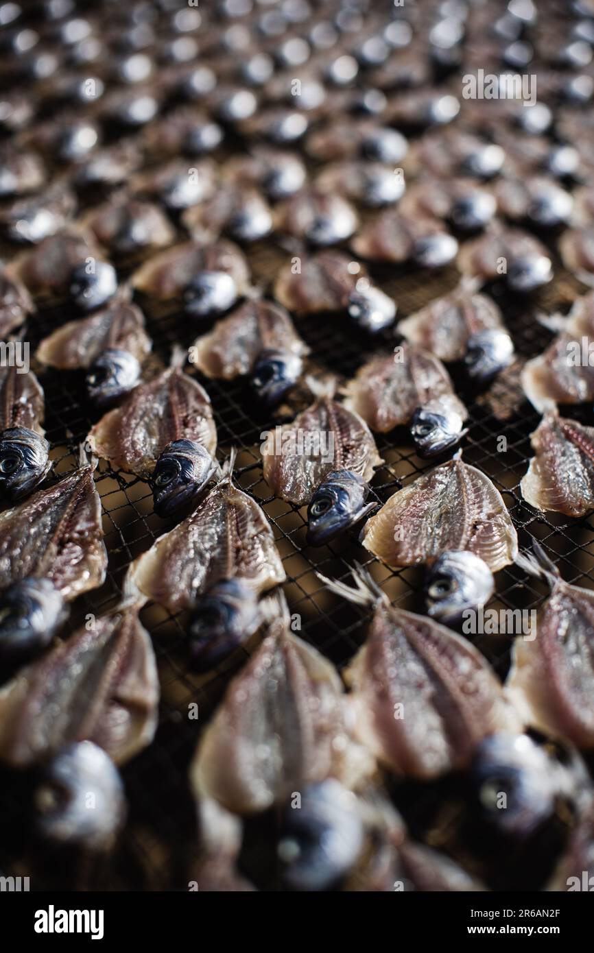 Salted fish factory hi-res stock photography and images - Alamy