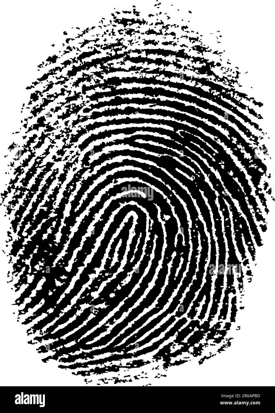 Black and White Vector Fingerprint - Very accurately scanned and traced ...