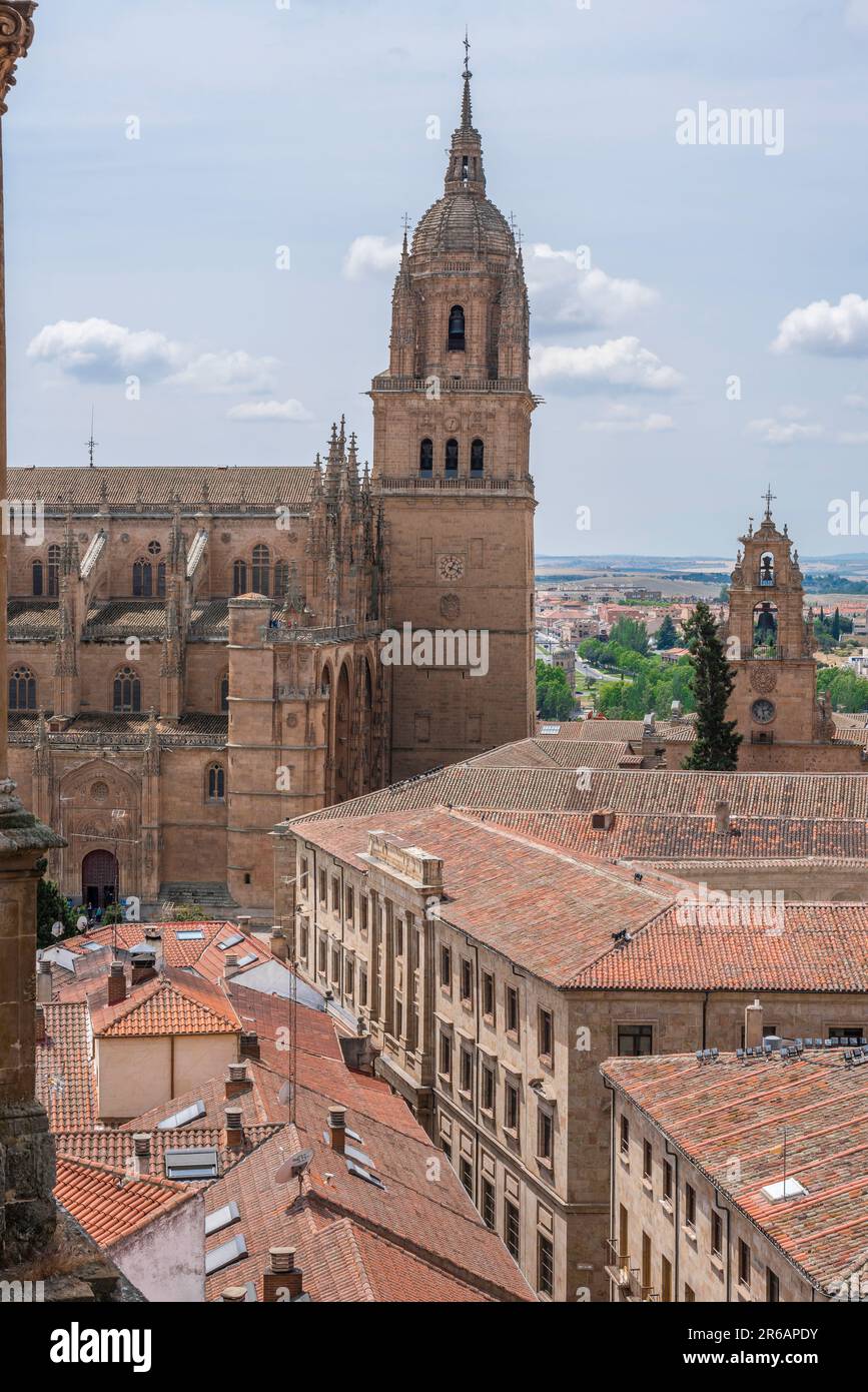Historic Spain, view of the Catedral Nueva sited above the scenic ...