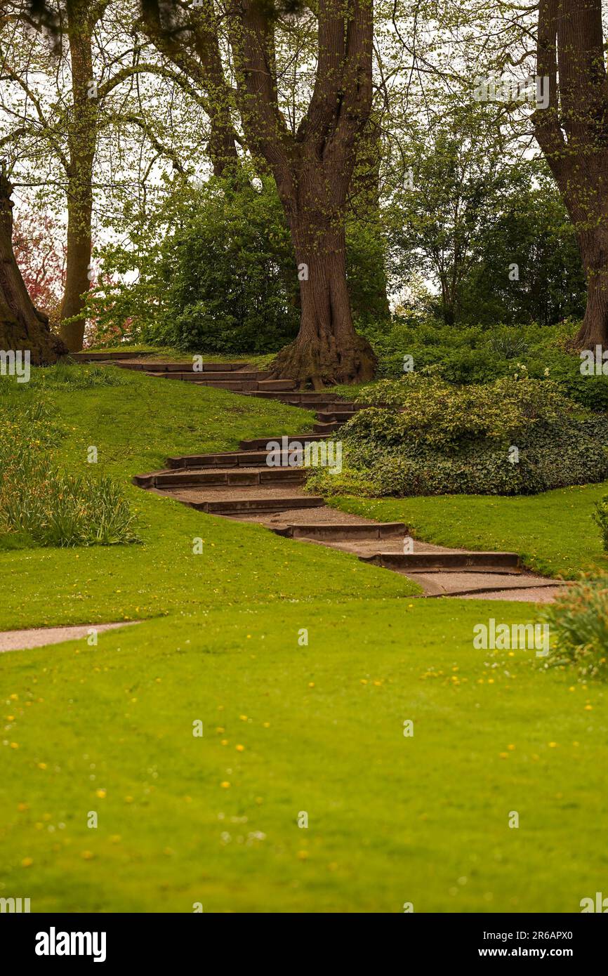 Stone steps in the park, modern landscaping Stock Photo - Alamy