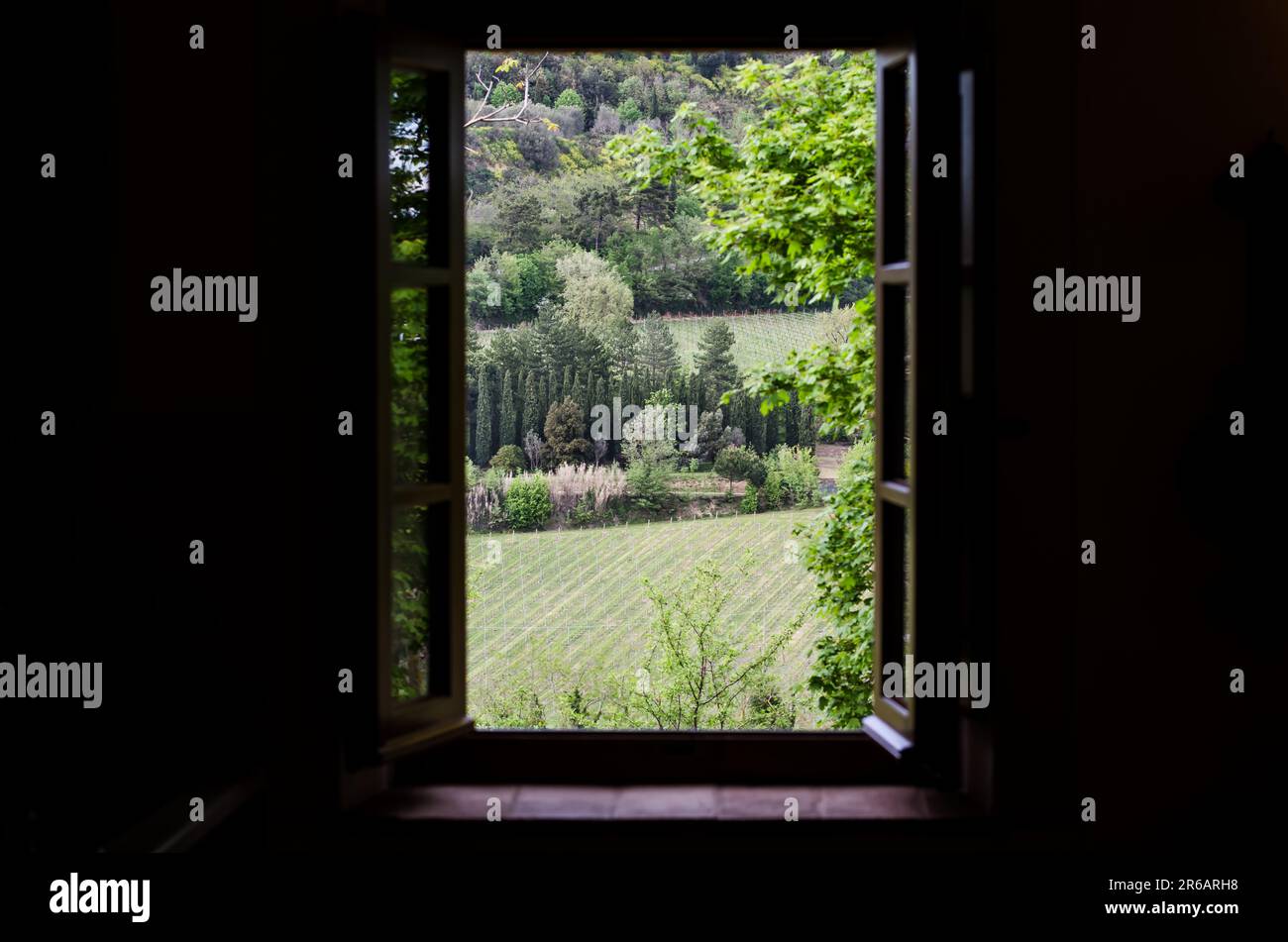 green nature seen from open window, contrast outdoors and indoors Stock ...