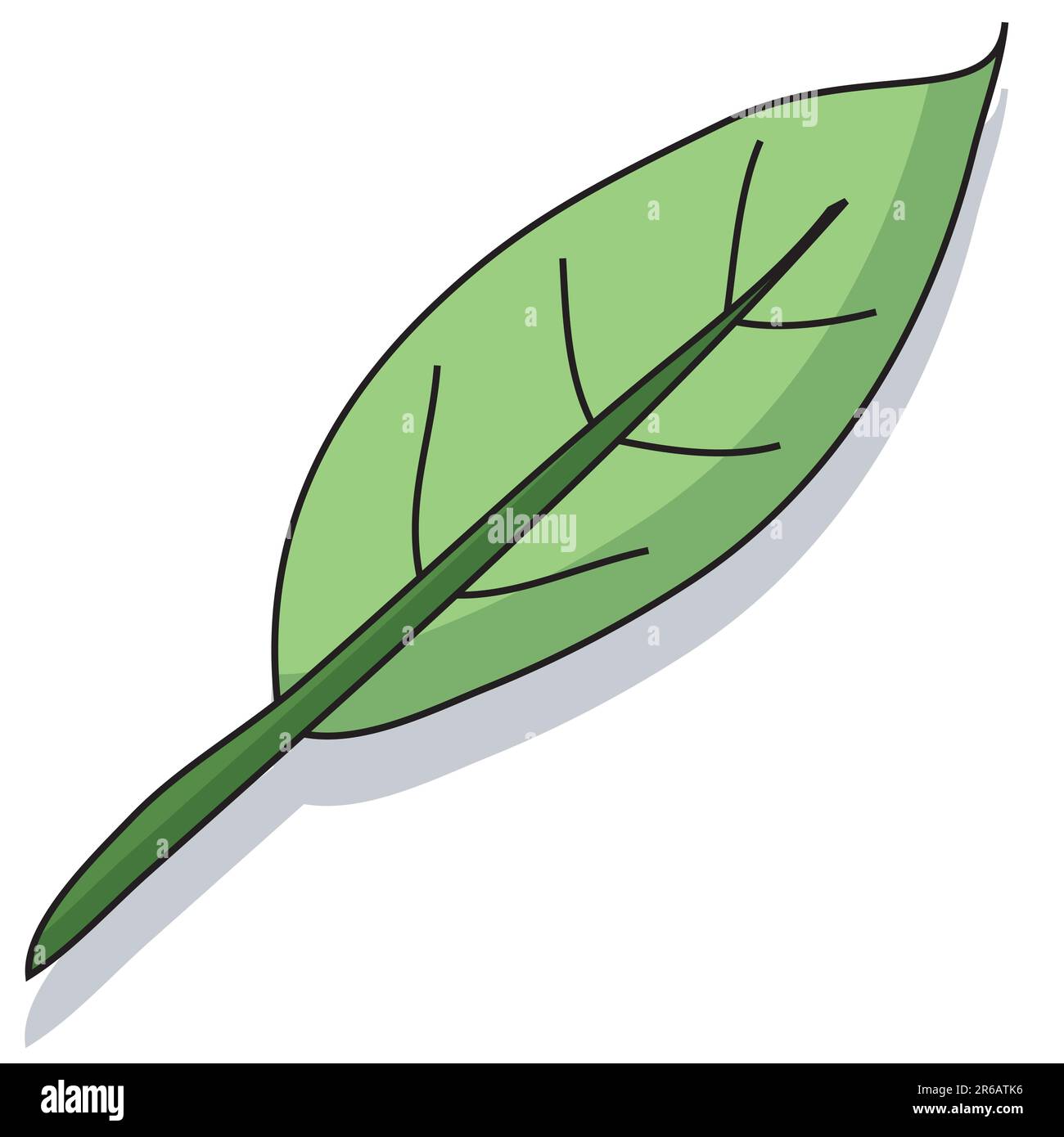 Hand drawn cartoon style leaf Stock Vector Image & Art - Alamy