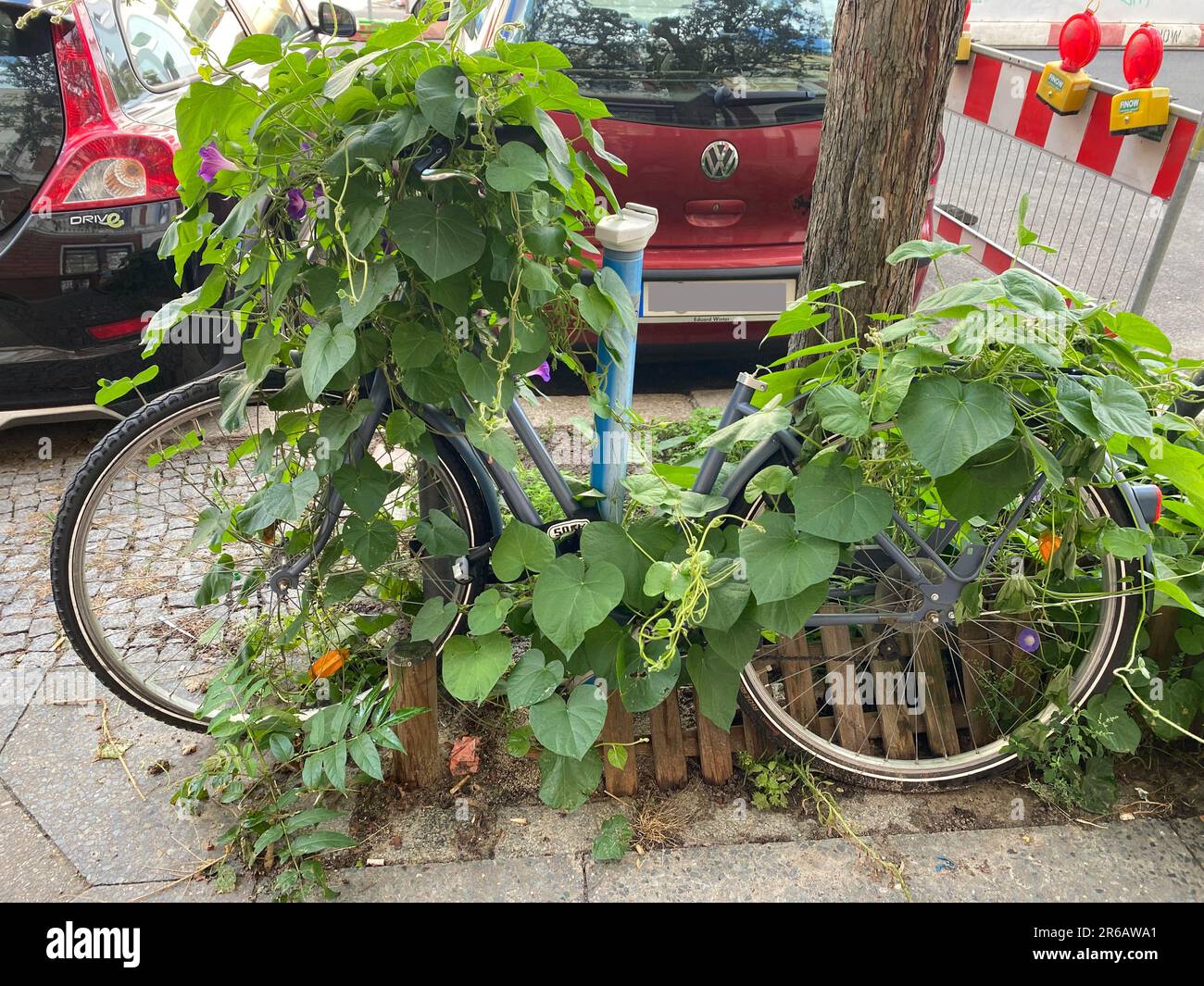 Bicycle in the green Stock Photo - Alamy