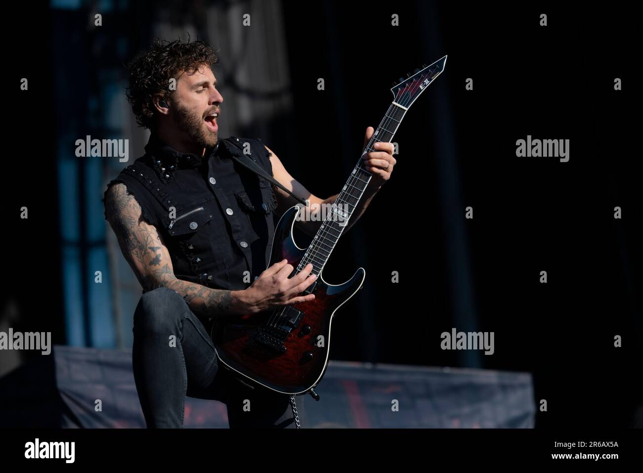 Norway raven hi-res stock photography and images - Alamy