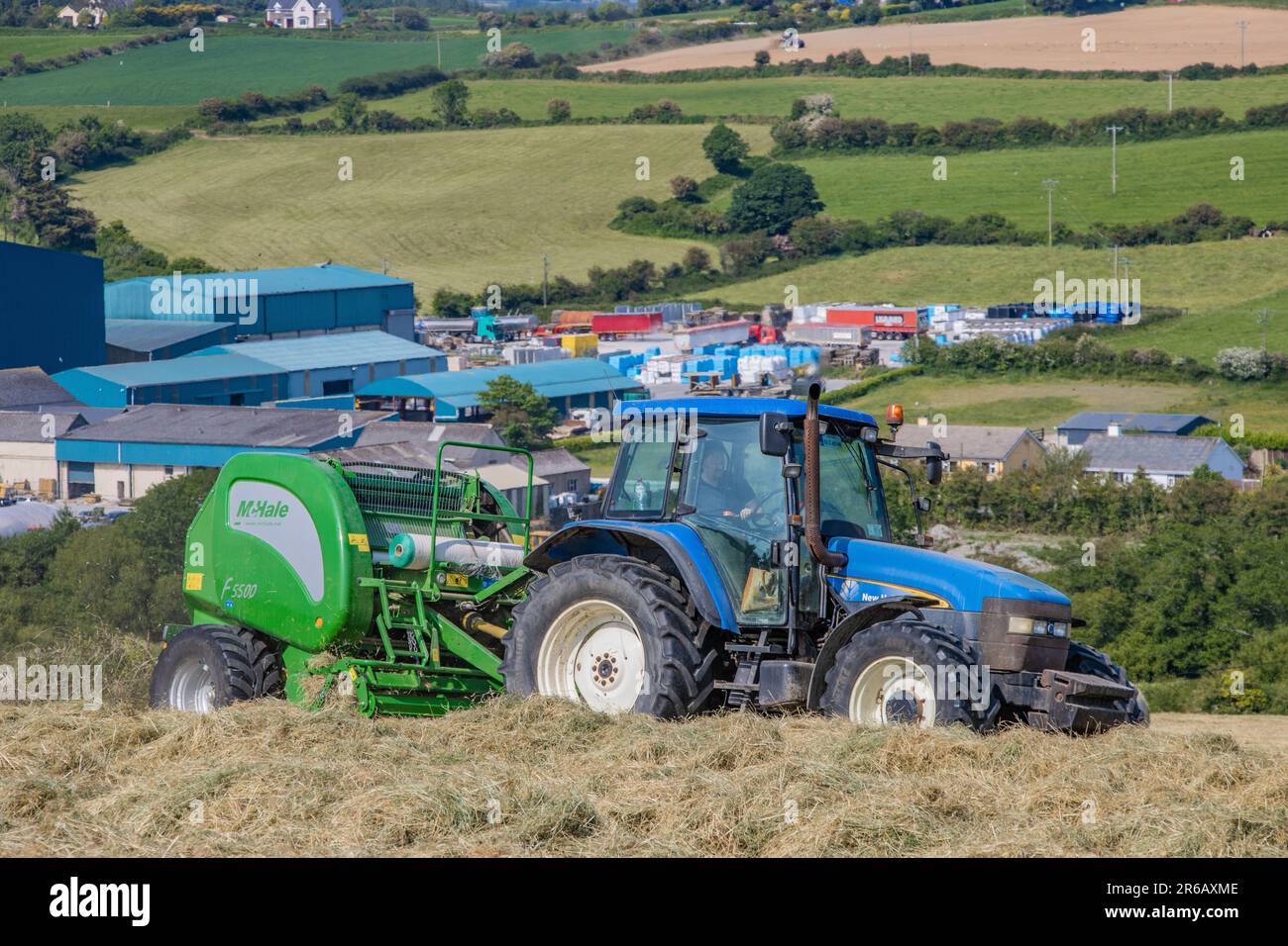 Making hay near Lisavaird, Co. Cork, in exceptional fine weather, June ...