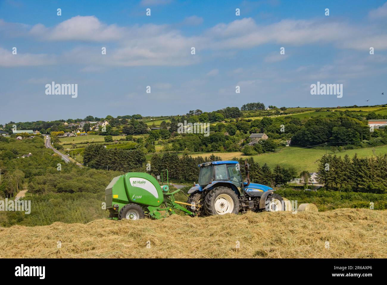 Making hay near Lisavaird, Co. Cork, in exceptional fine weather, June ...