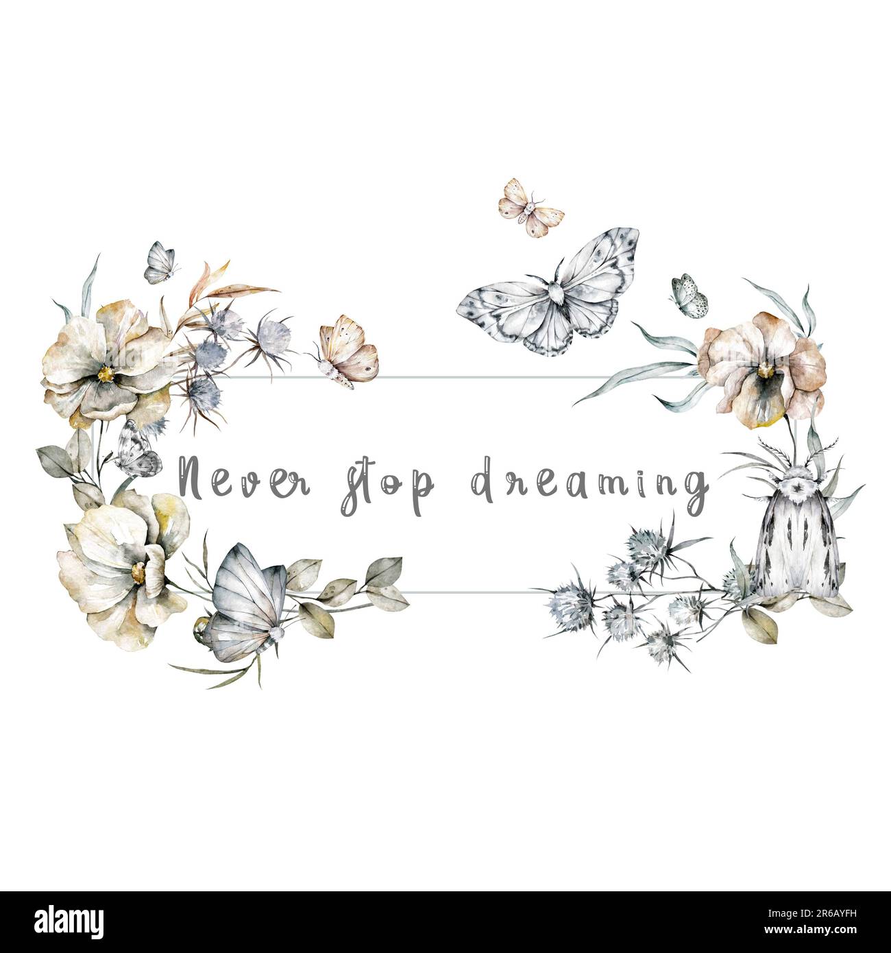 Black and white butterflies watercolor rectangular frame for text ...