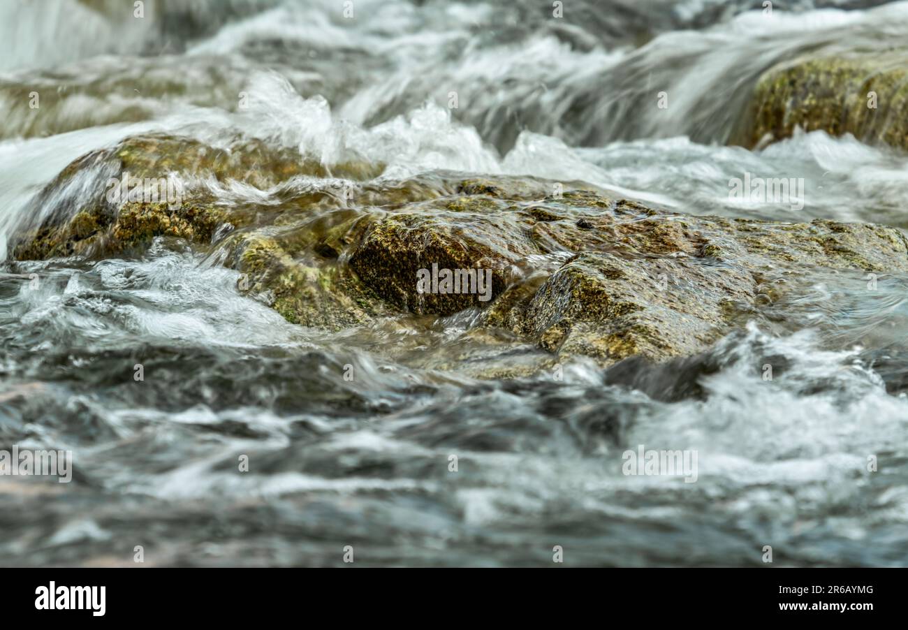 Rapid spring river flowing over rocks forming white water waves ...