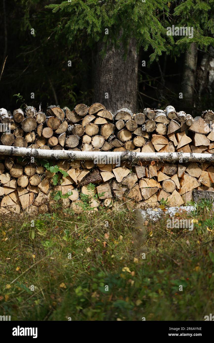 A stack of freshly chopped firewood is shown situated to the side of a ...