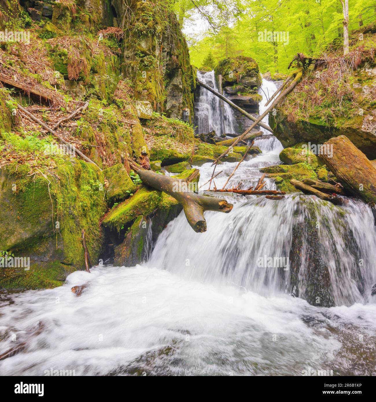 waterfall on the creek in forest. beautiful outdoor nature background ...