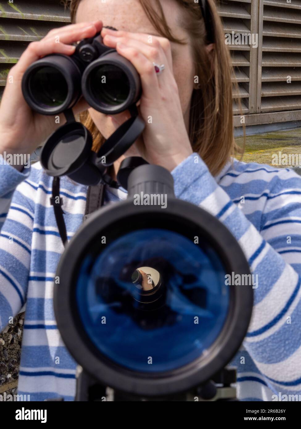 BROADSTAIRS, ENGLAND - MAY 08: Heather of the North Foreland ...