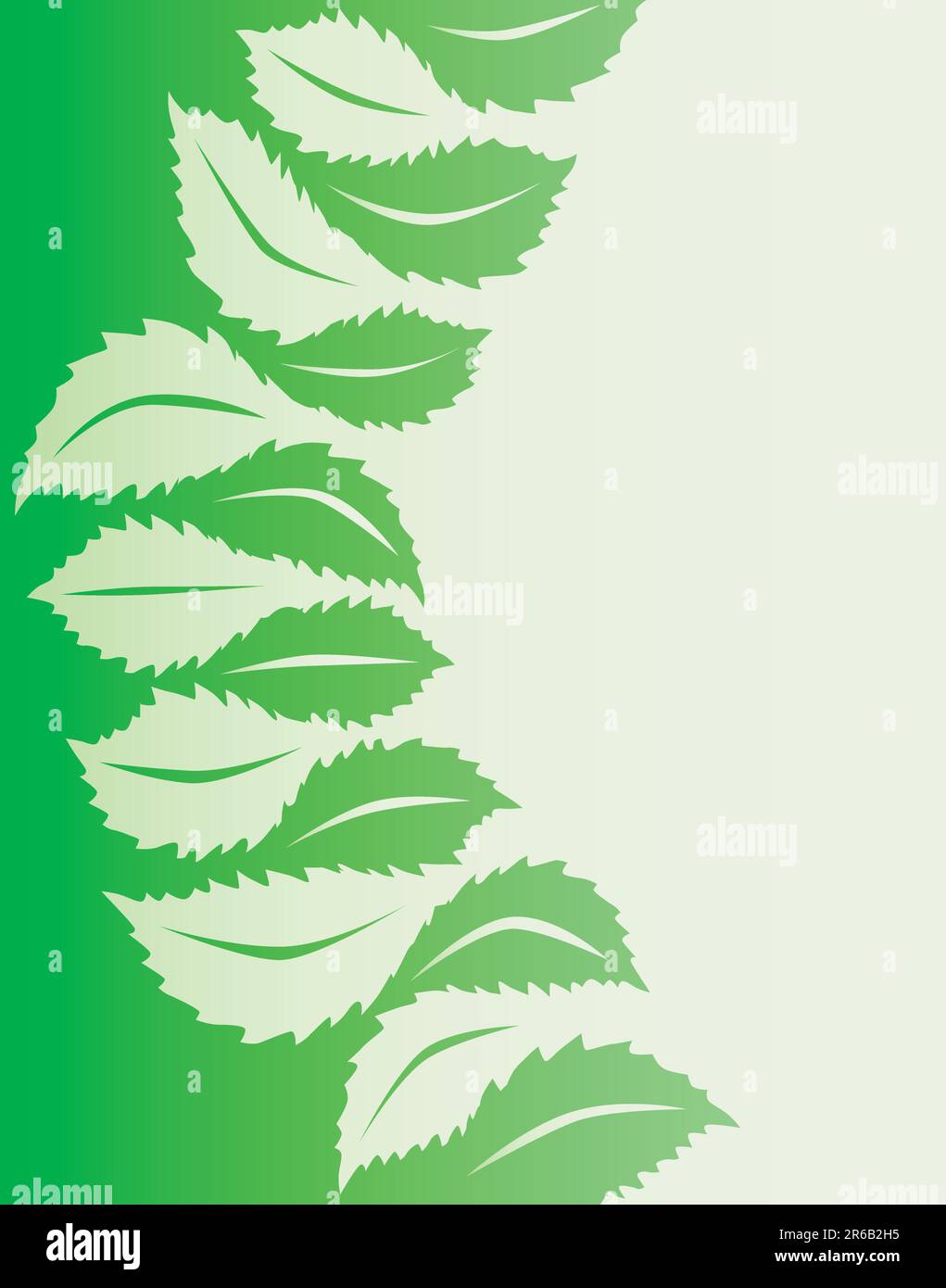 Illustrated vector design of generic leaf shapes Stock Vector Image ...