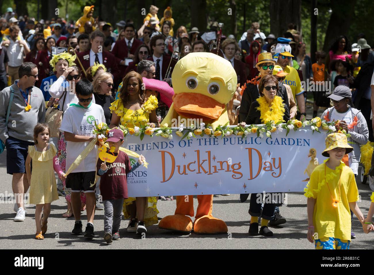 A crowd celebrates Duckling Day parade Boston Common Stock Photo - Alamy
