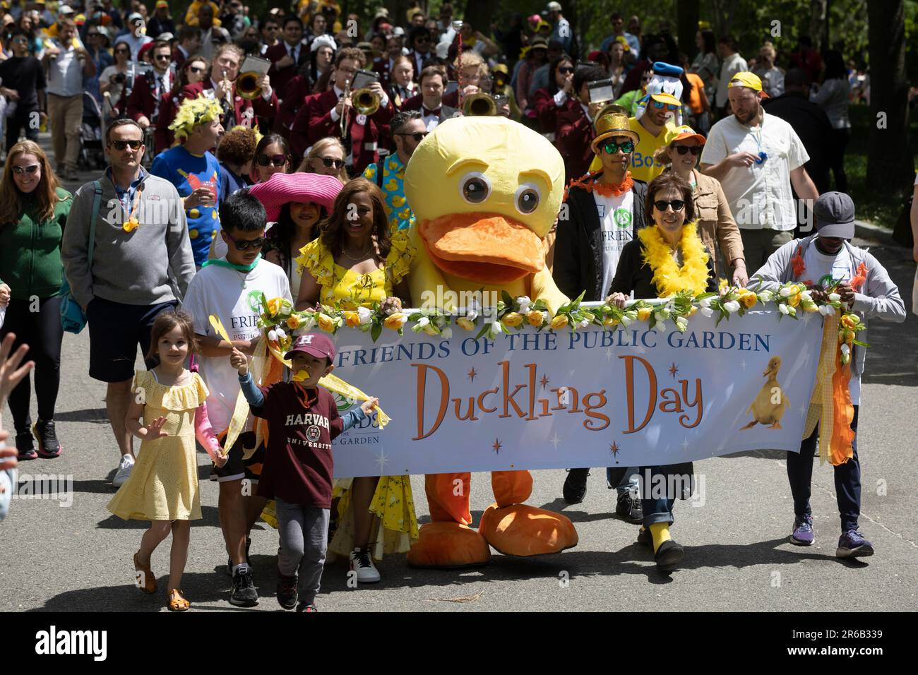 A crowd celebrates Duckling Day parade Boston Common Stock Photo - Alamy