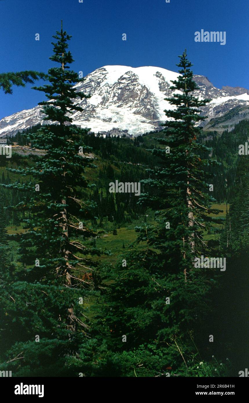 Mt. Rainier National Park, WA USA. Ascending to 14,410 feet above sea ...