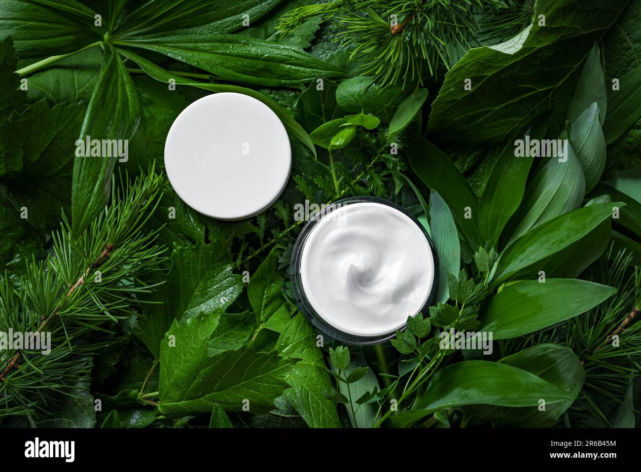 Organic cosmetic products on green leaves as background, top view ...